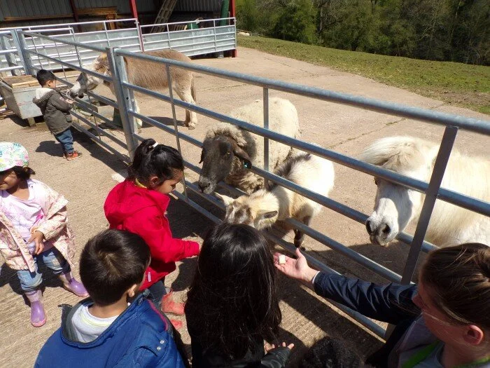 Guest Post: Dodford Children’s Farm - Way More Than Just a School Trip ...
