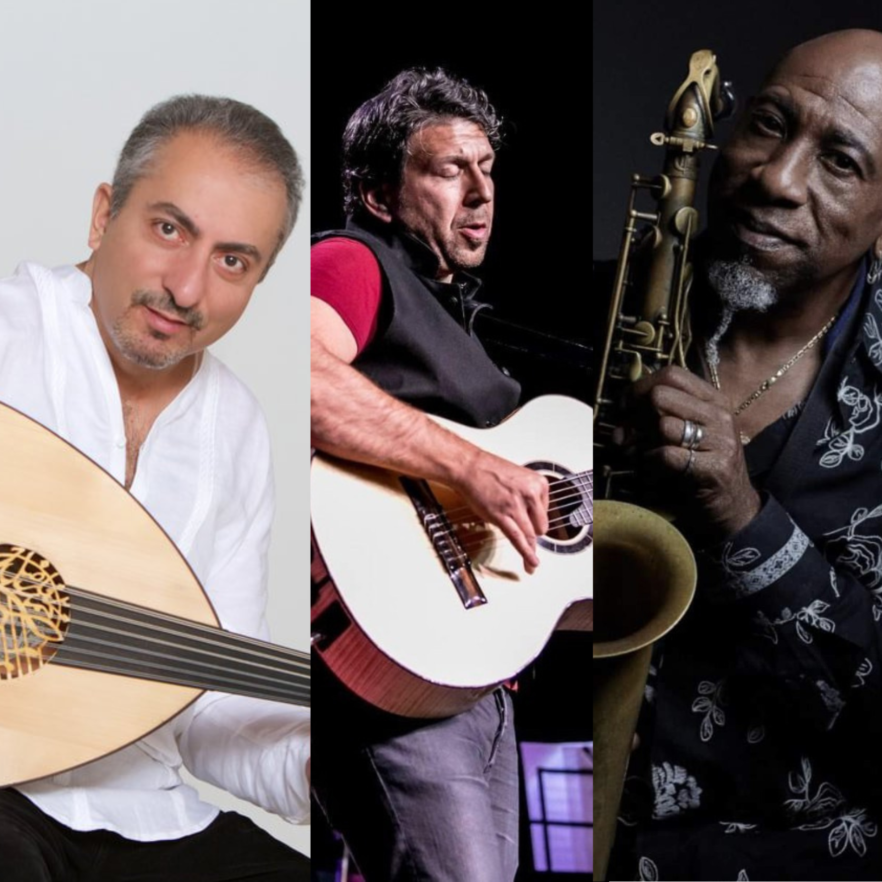 2025 Lineup — Concert of Colors