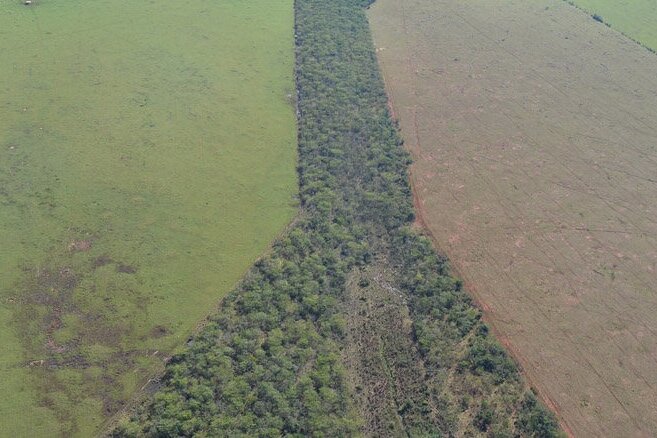 Wildlife Corridors — Ky Conservation Committee