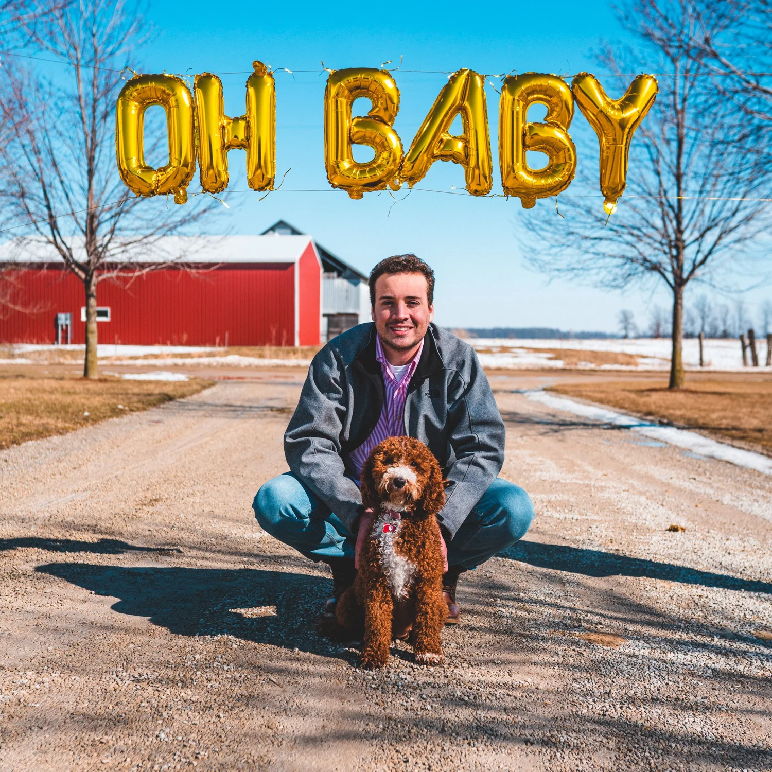 Why We Started | Find Your Ideal Puppy Today — Family Bred Puppies