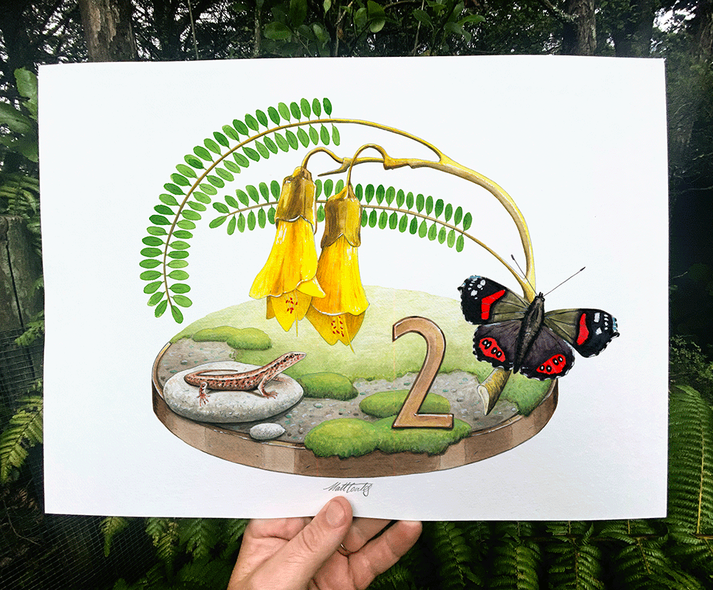 NZ Watercolour Fine Art Prints | Add some colour and character to your ...