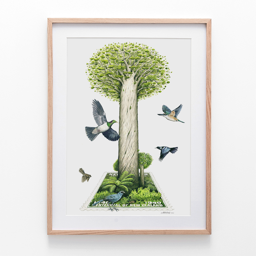 NZ Watercolour Fine Art Prints | Greeting Cards | Canvas Prints