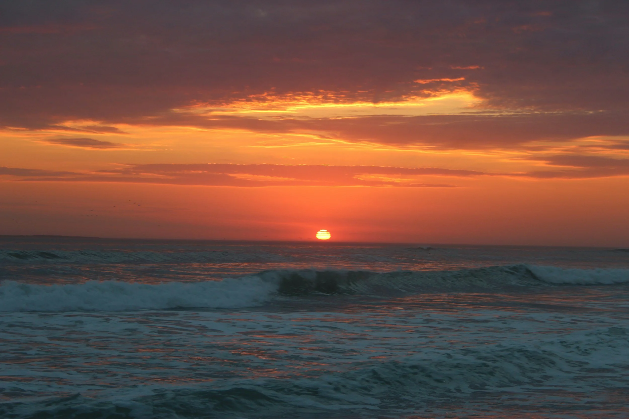 Anna Maria Island Red Tide Today | Red Tide Guard®