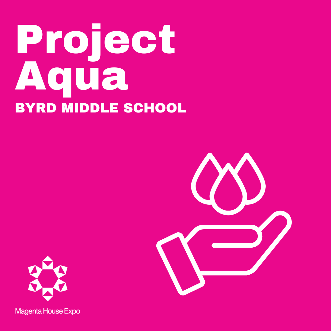 All Projects — Magenta House