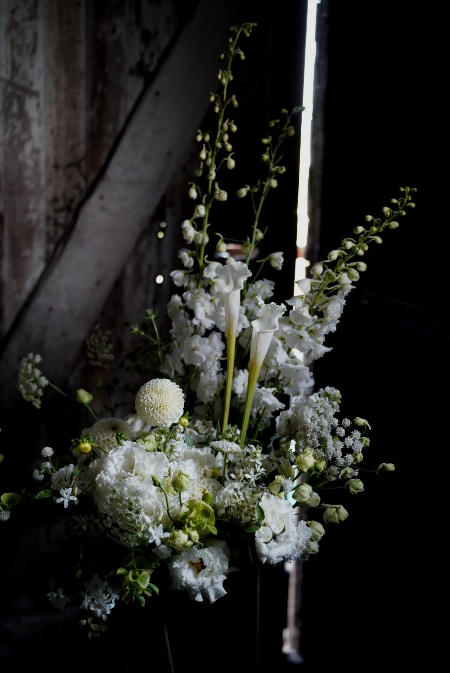 Diadem Flower Co. • Fine Art Floral Design • Skagit, Whatcom, Seattle