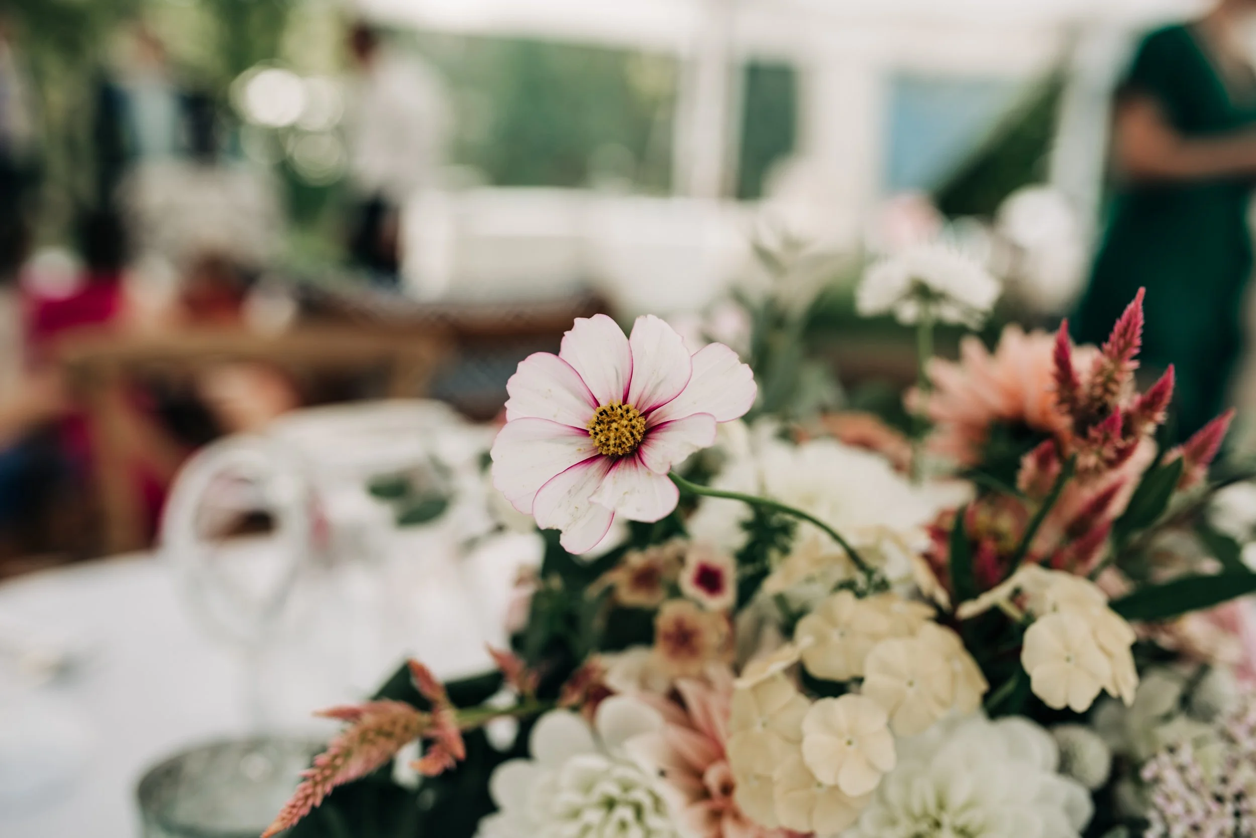 diadem flower co.