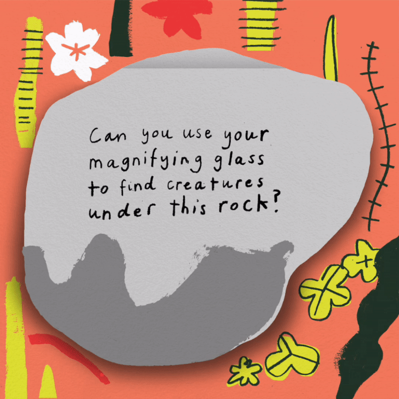 Macmillan Prize Ants Book — Cara Rooney
