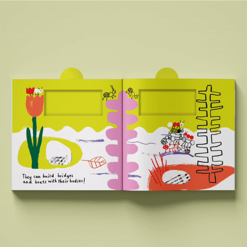Macmillan Prize Ants Book — Cara Rooney