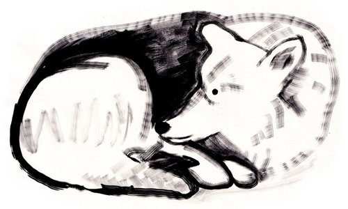 Animals — Cara Rooney