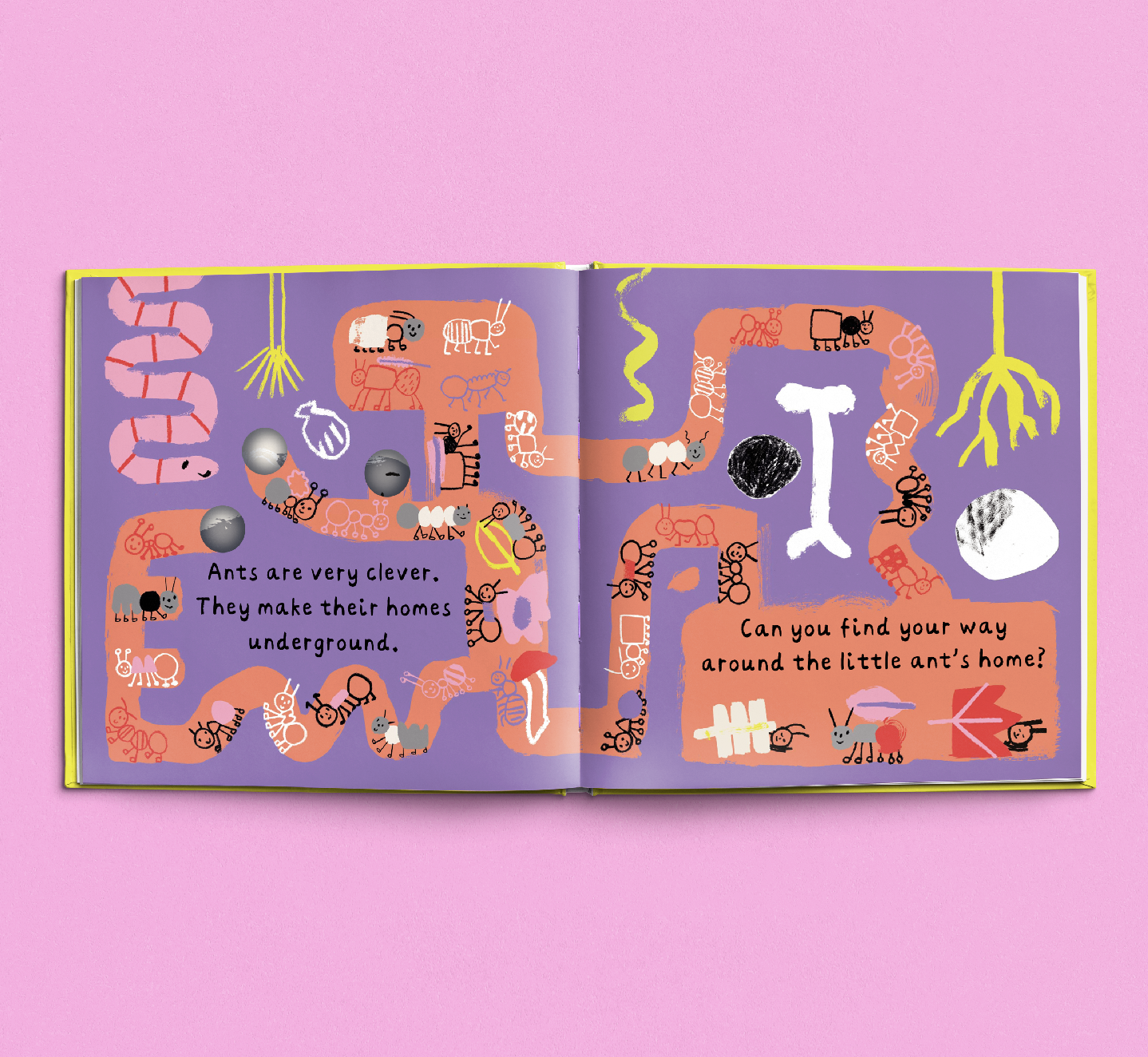 A Little World of Ants — Cara Rooney