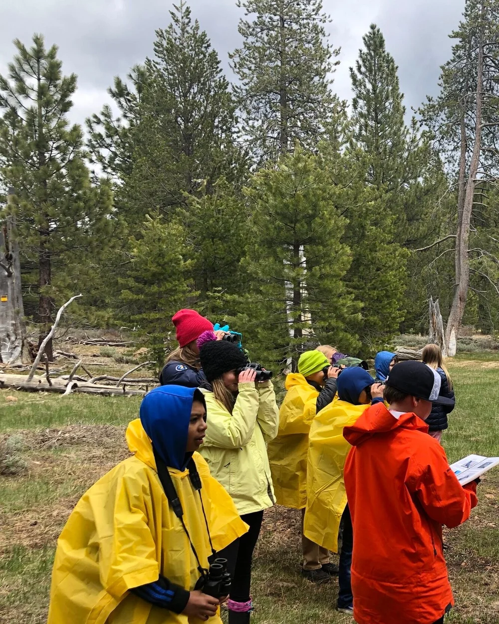 Nature Summer Camps in Tahoe — TINS
