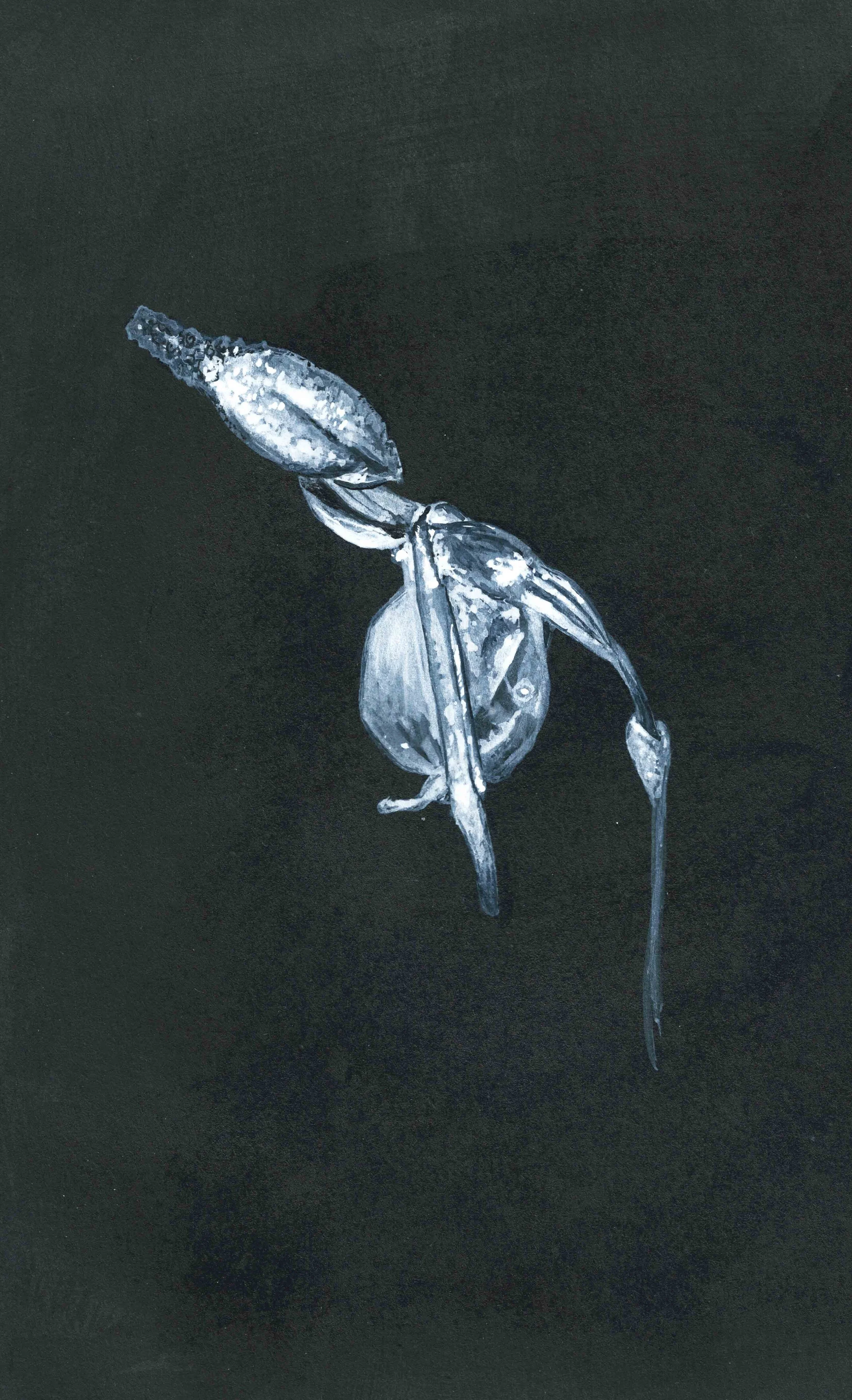 Shop — LOUISE FLAHERTY