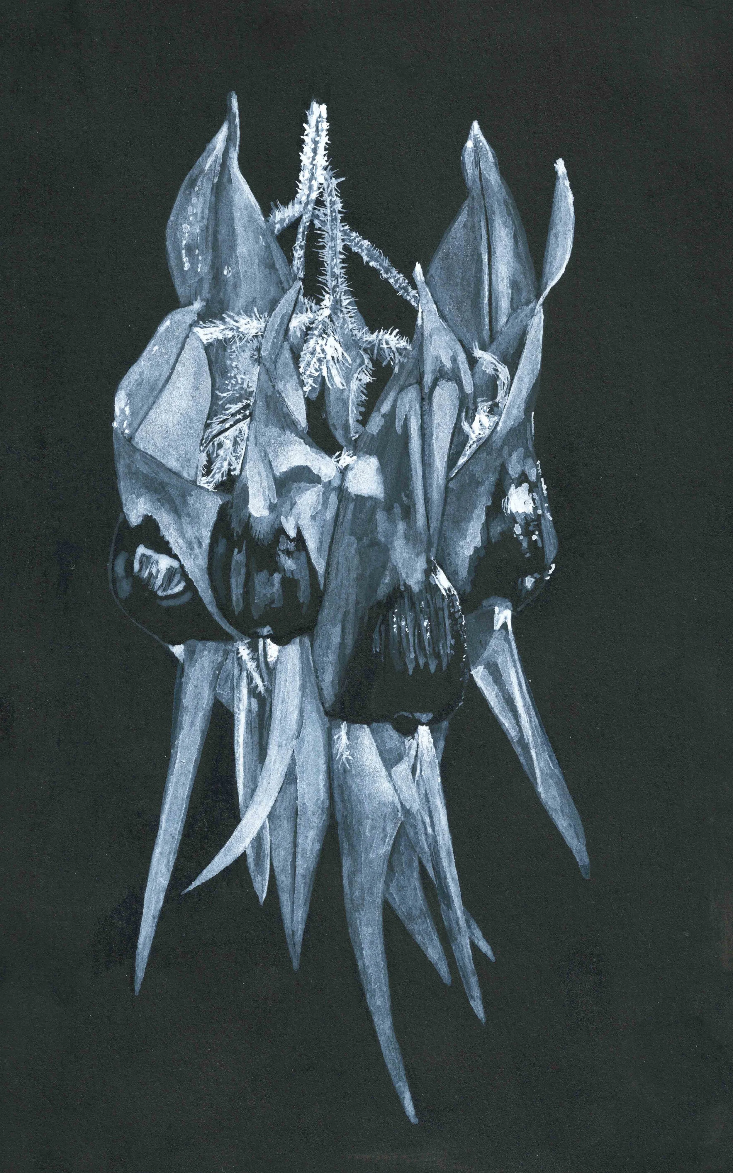 Shop — LOUISE FLAHERTY