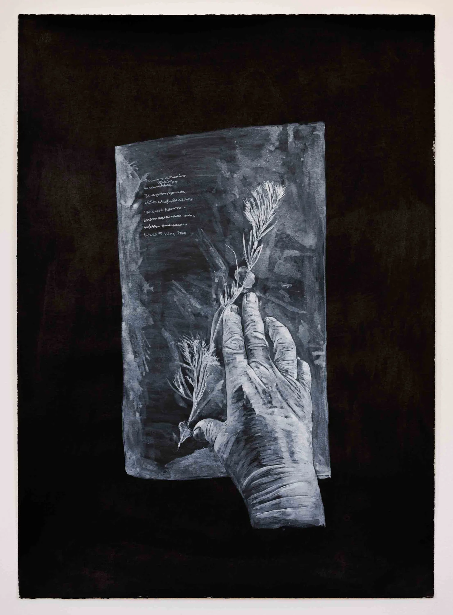 plant carers 2023 — LOUISE FLAHERTY