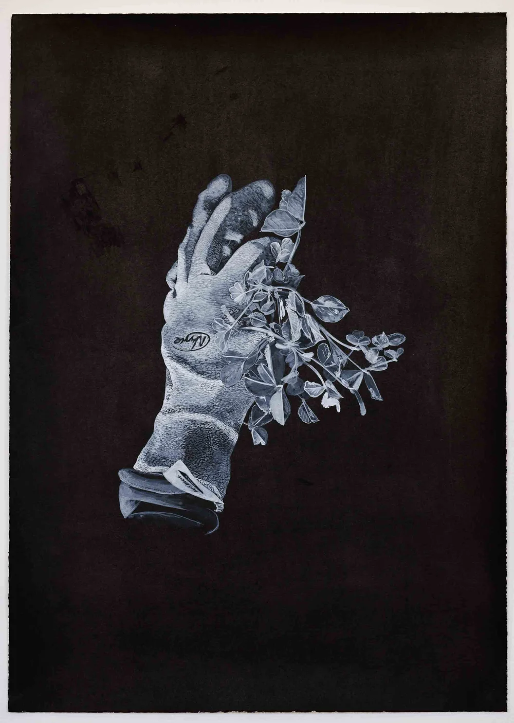 plant carers 2023 — LOUISE FLAHERTY