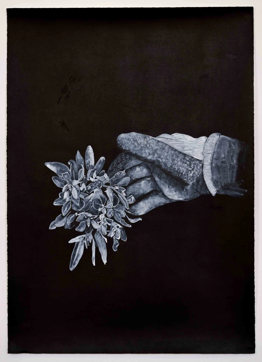 plant carers 2023 — LOUISE FLAHERTY