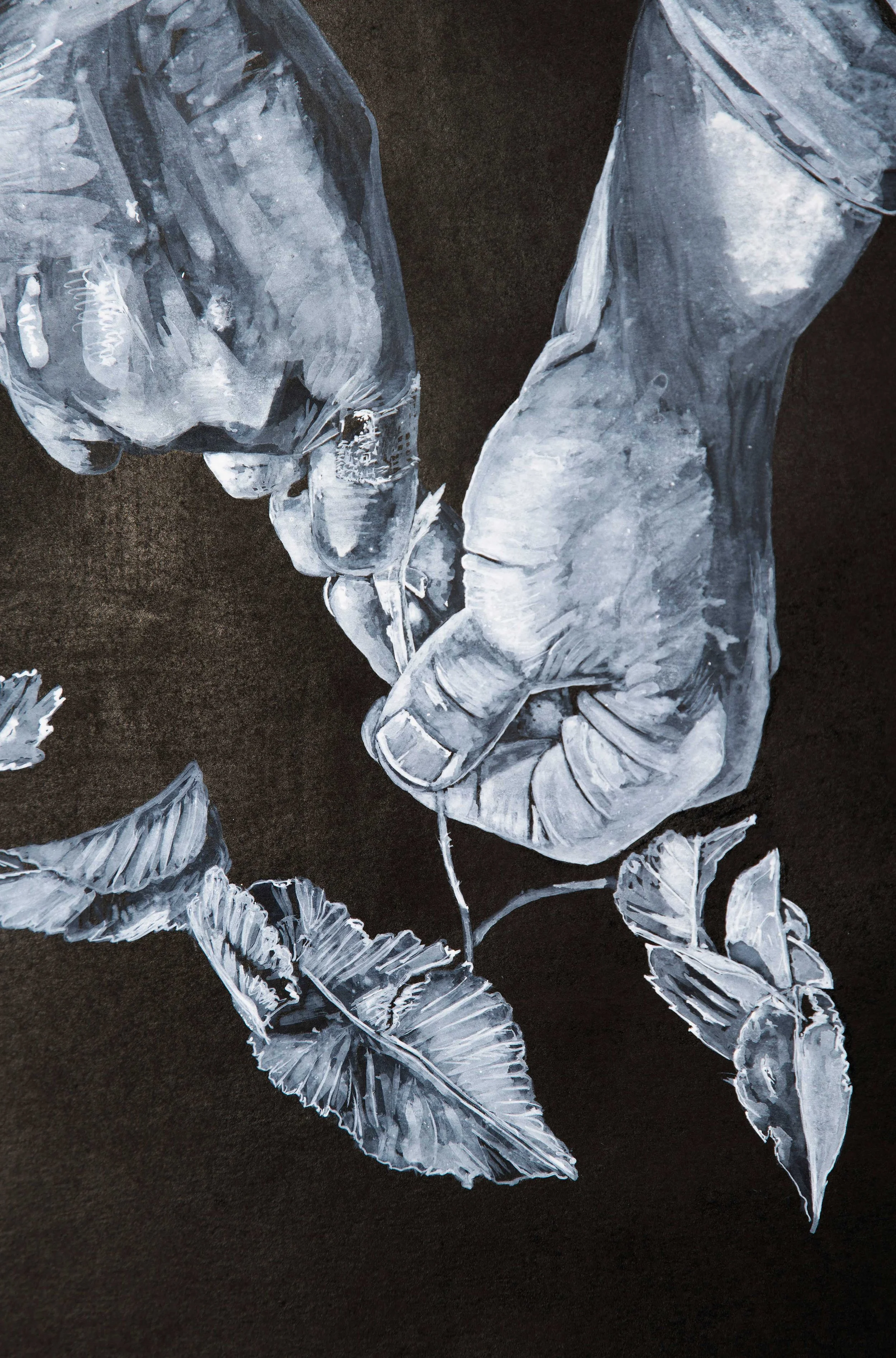 Plant Carers — LOUISE FLAHERTY