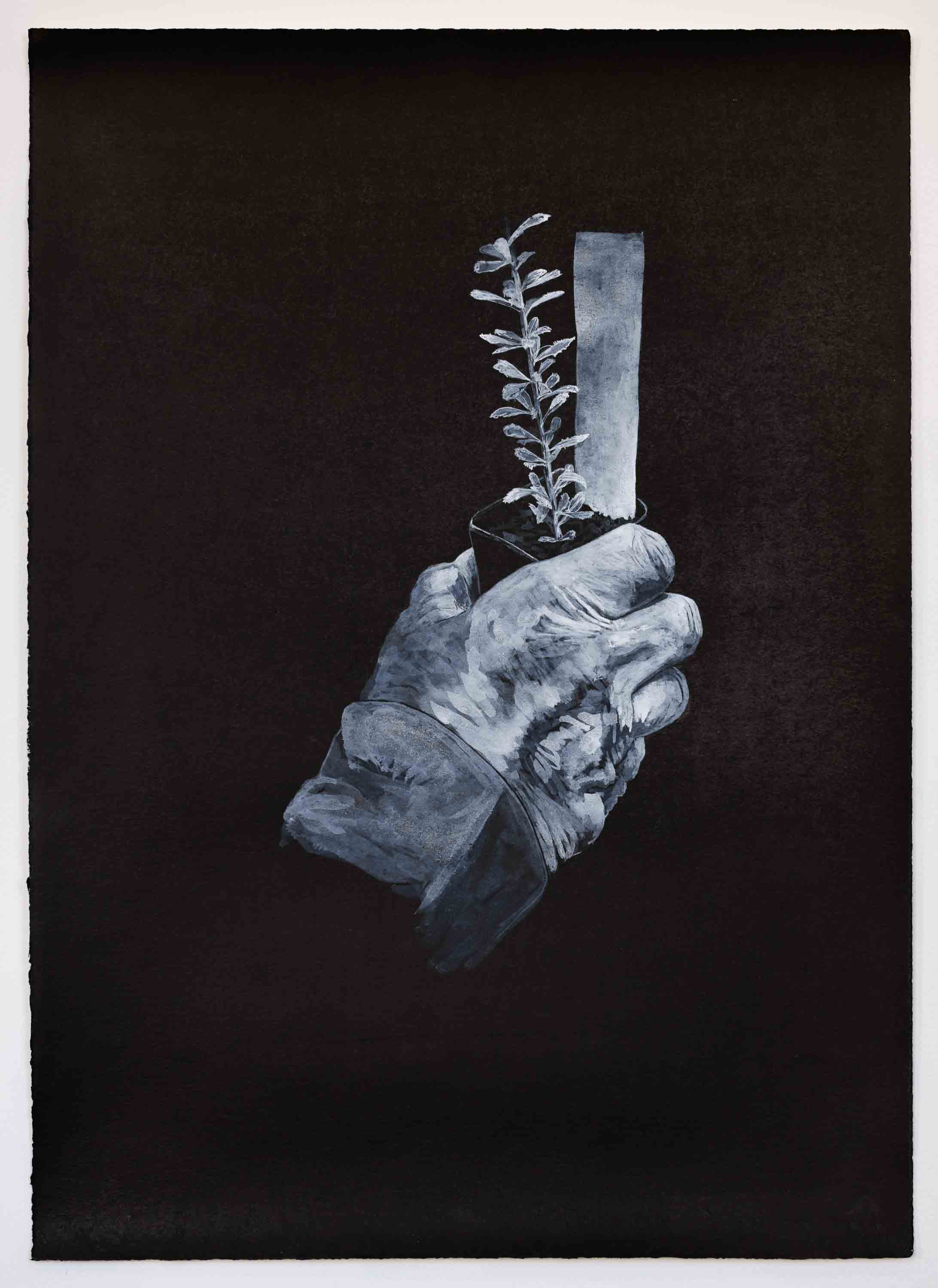 plant carers 2023 — LOUISE FLAHERTY