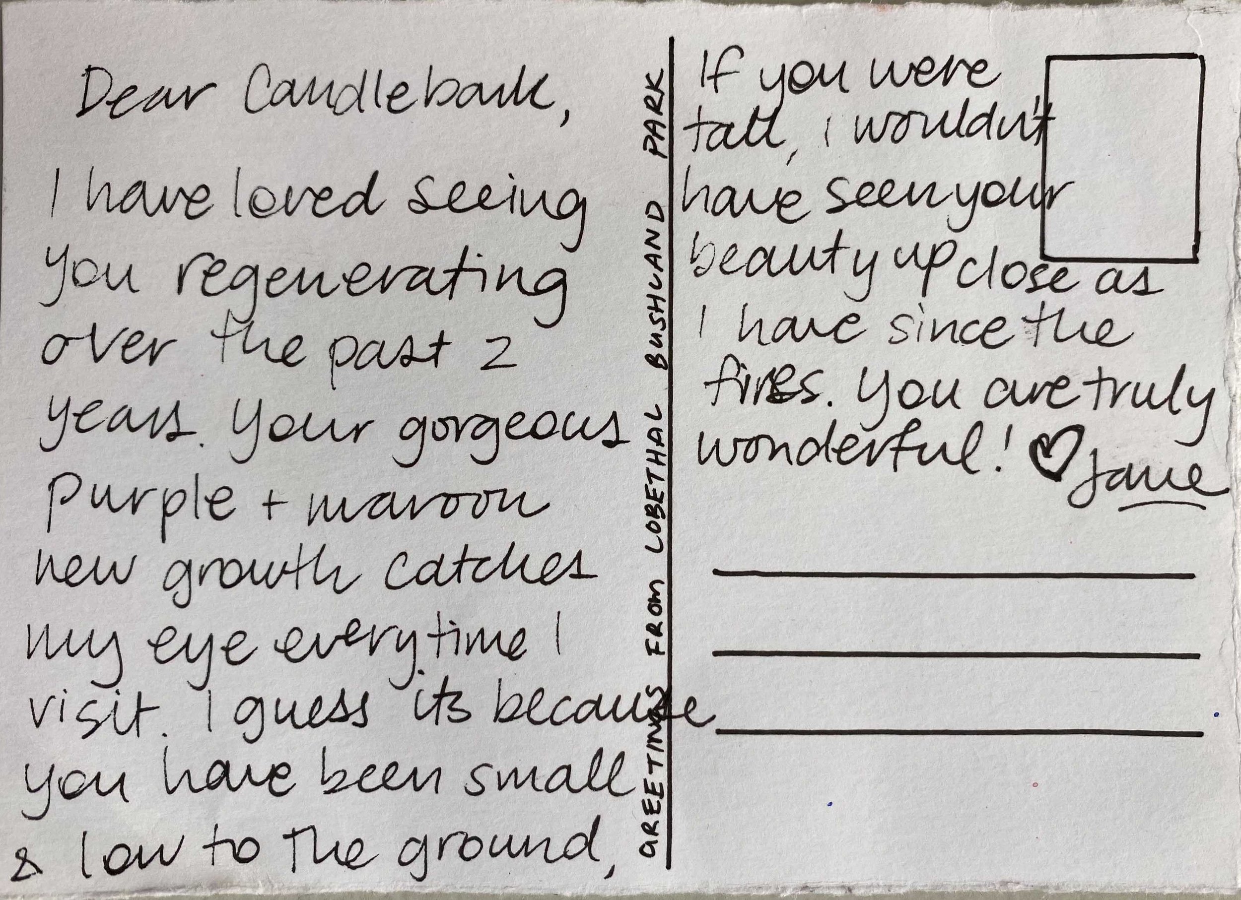 Lobethal — LOUISE FLAHERTY