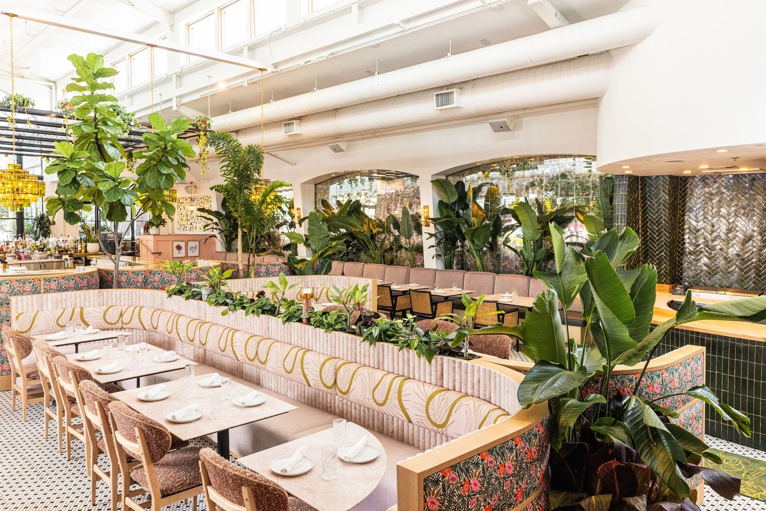 Paradiso - Restaurant in the heart of Bishop Arts