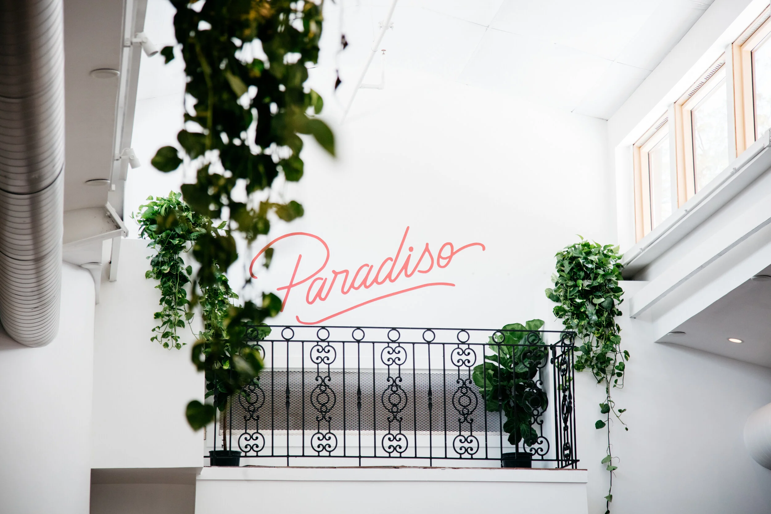 Paradiso - Restaurant in the heart of Bishop Arts