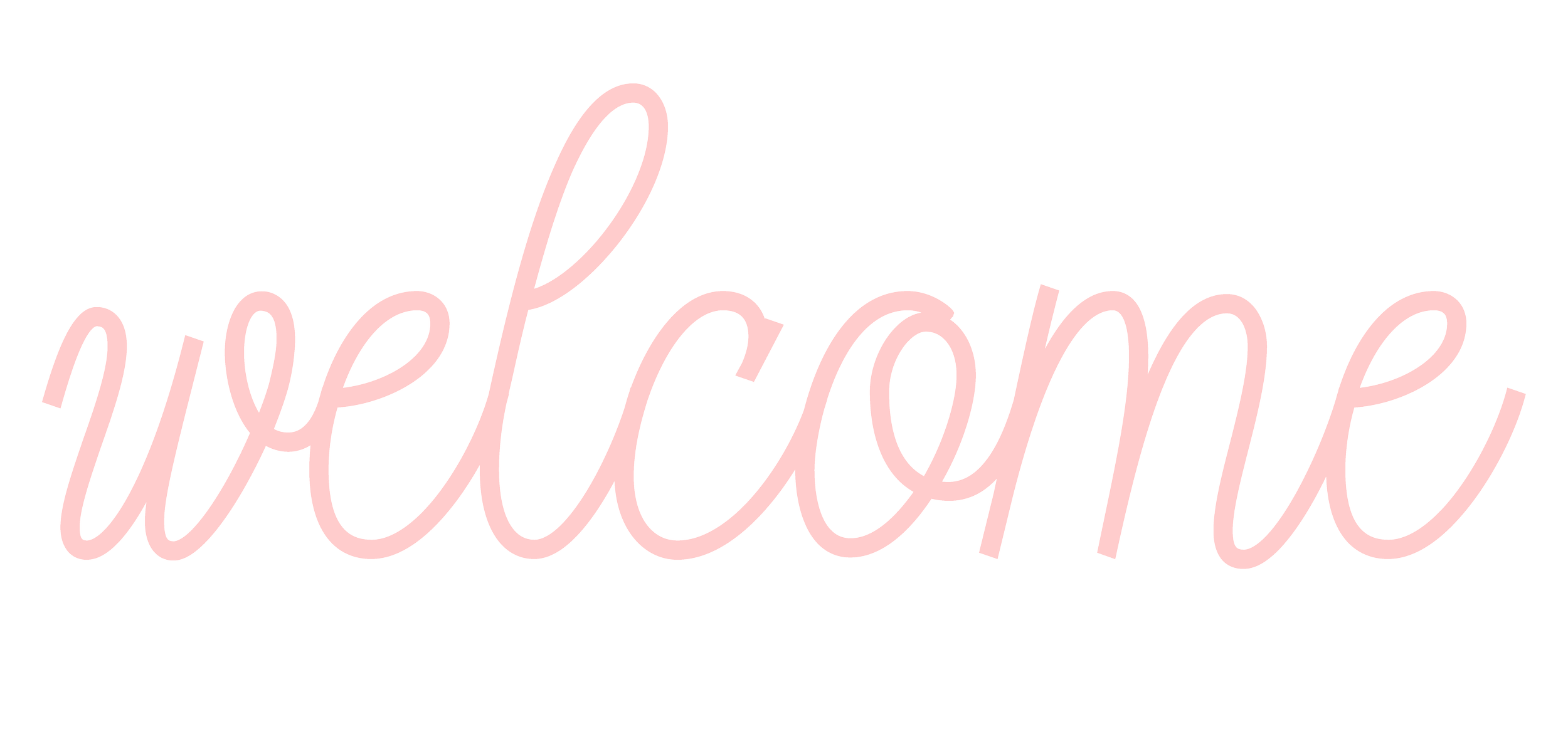 Five Fields Flower Farm