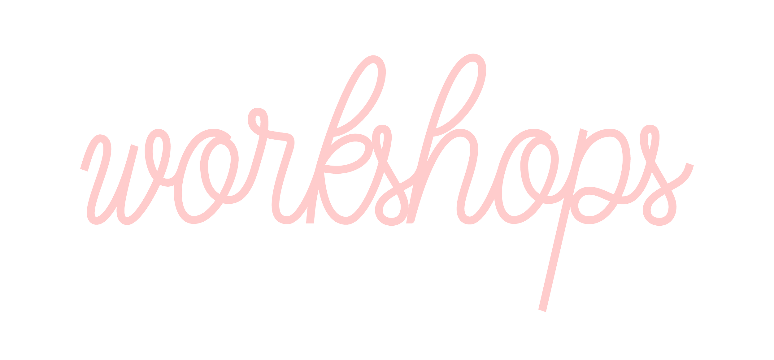 Five Fields Flower Farm