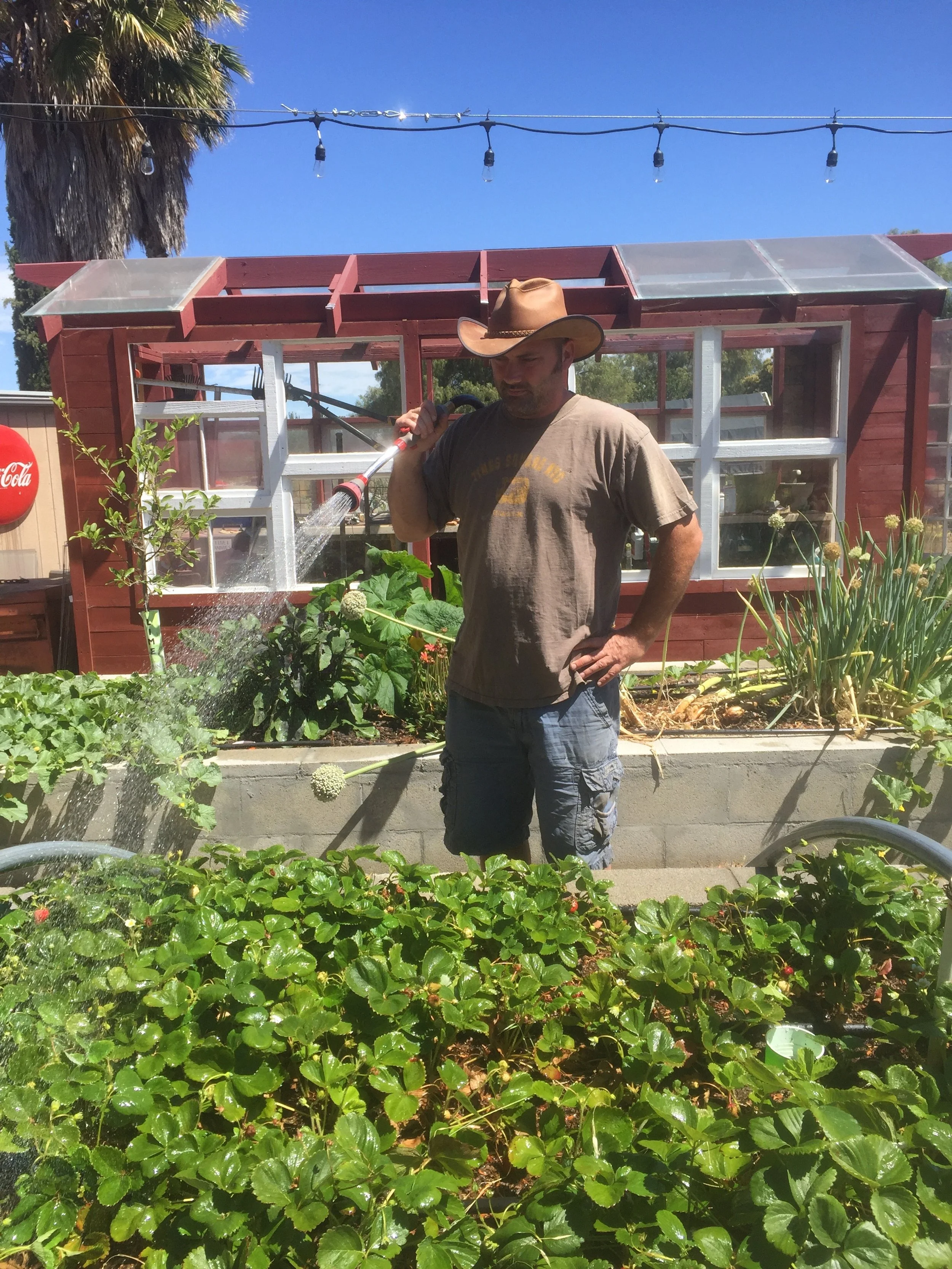 Meet the Fields — Five Fields Flower Farm