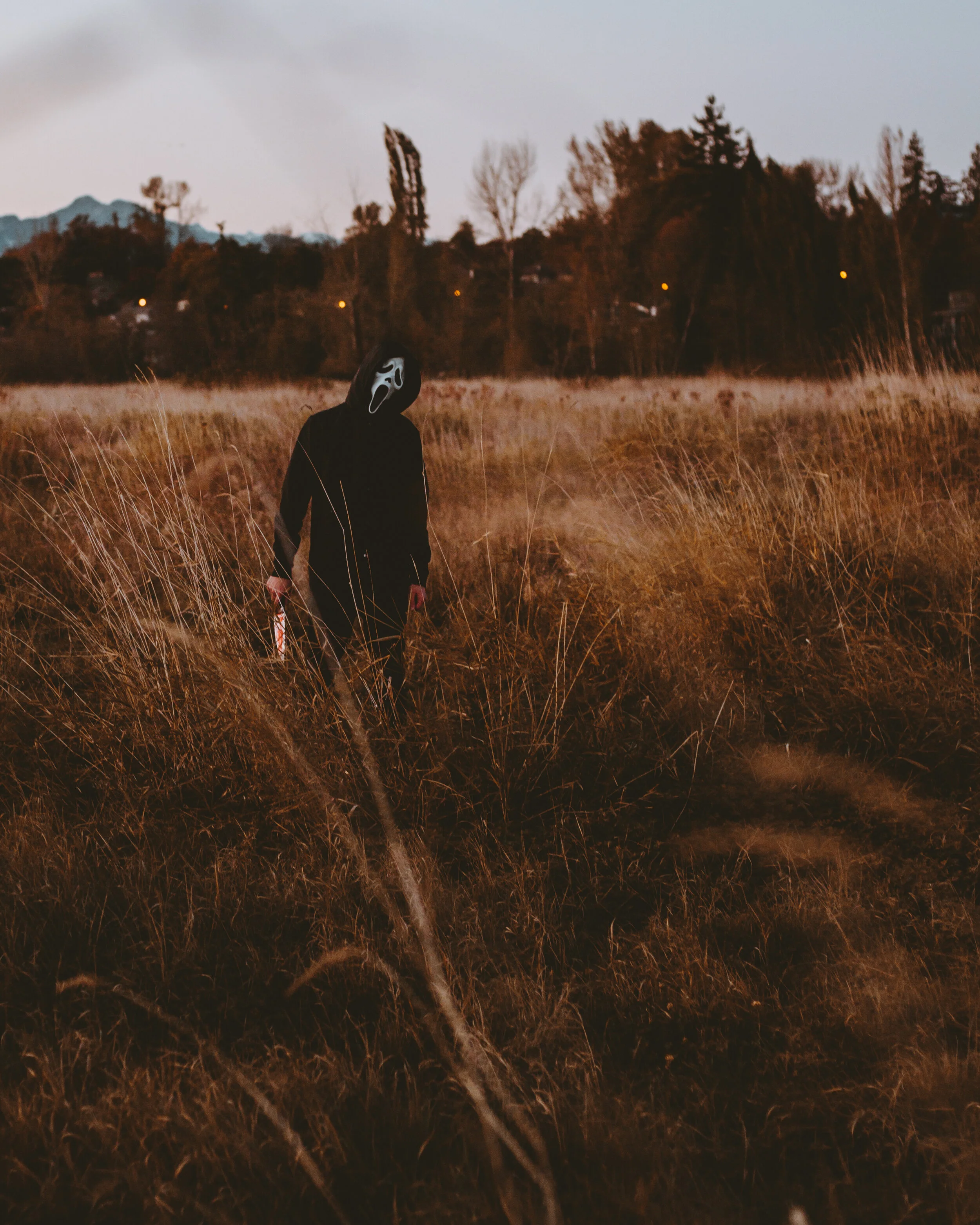 Spooky Halloween Photoshoot — Moments of Wild