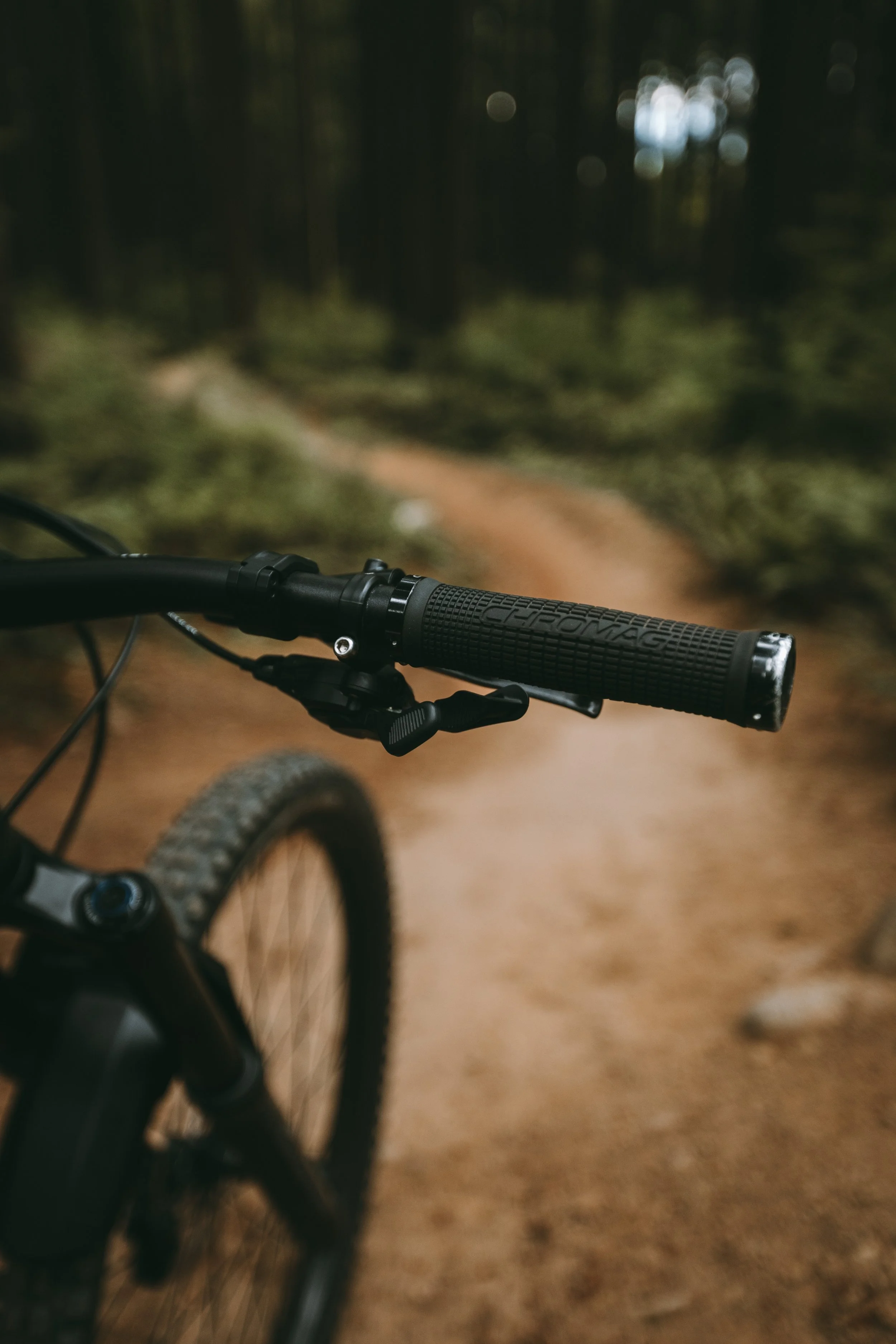 A MOUNTAIN BIKE DAY — Moments of Wild