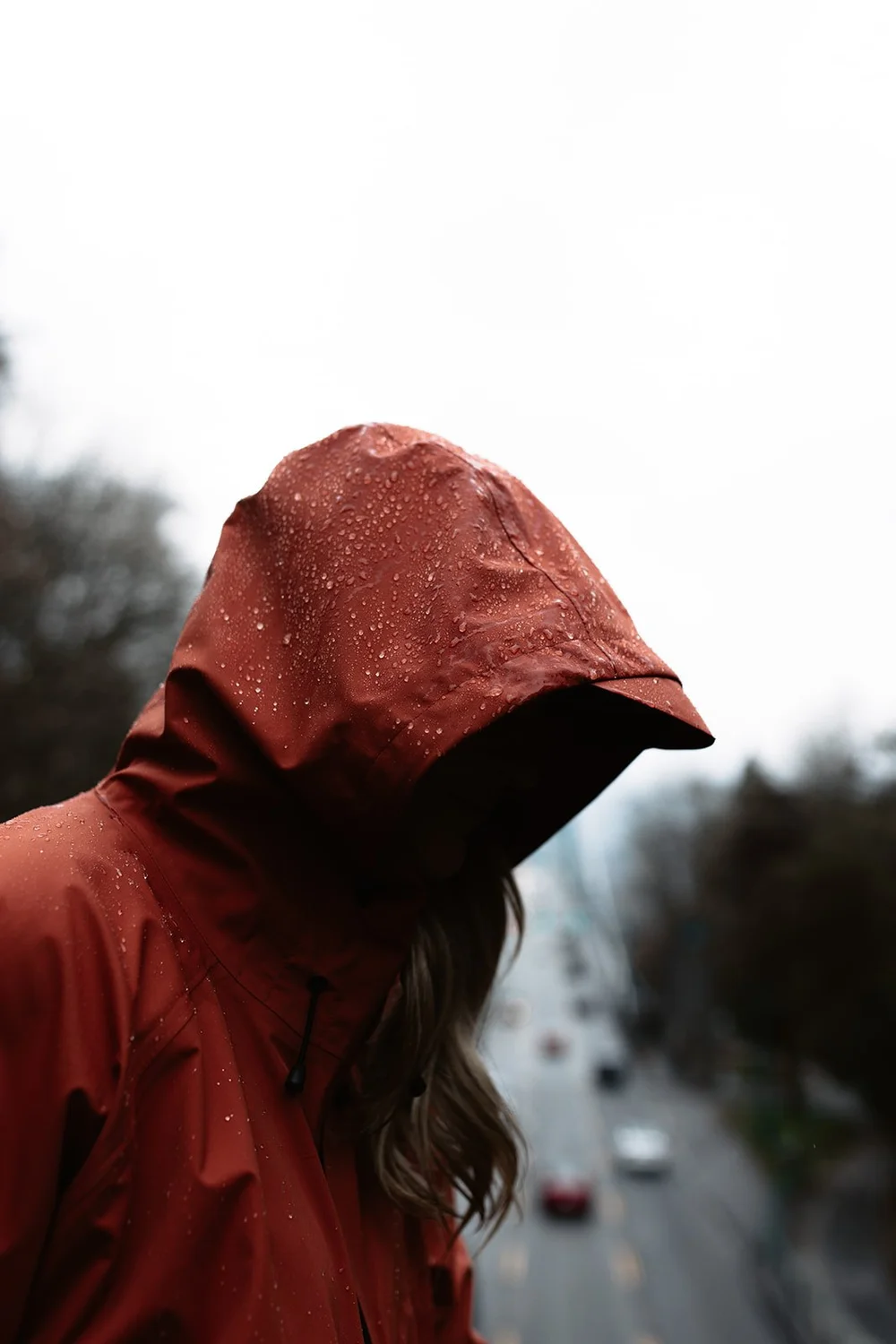 A Rainy Vancity day — Moments of Wild
