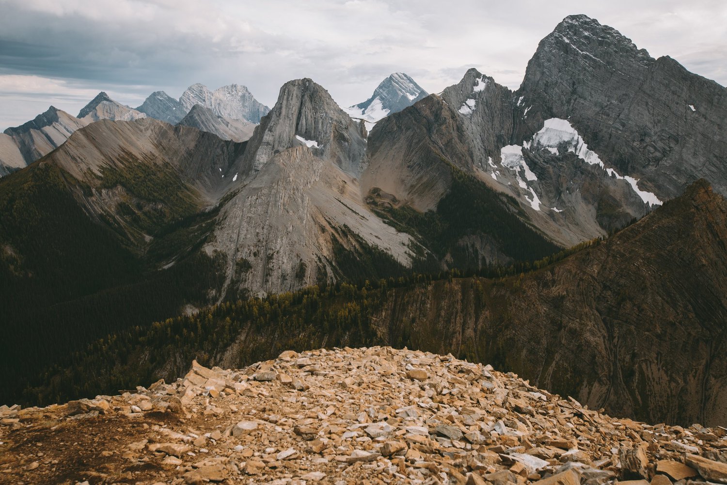 canmore pt. 2 tent ridge — Moments of Wild