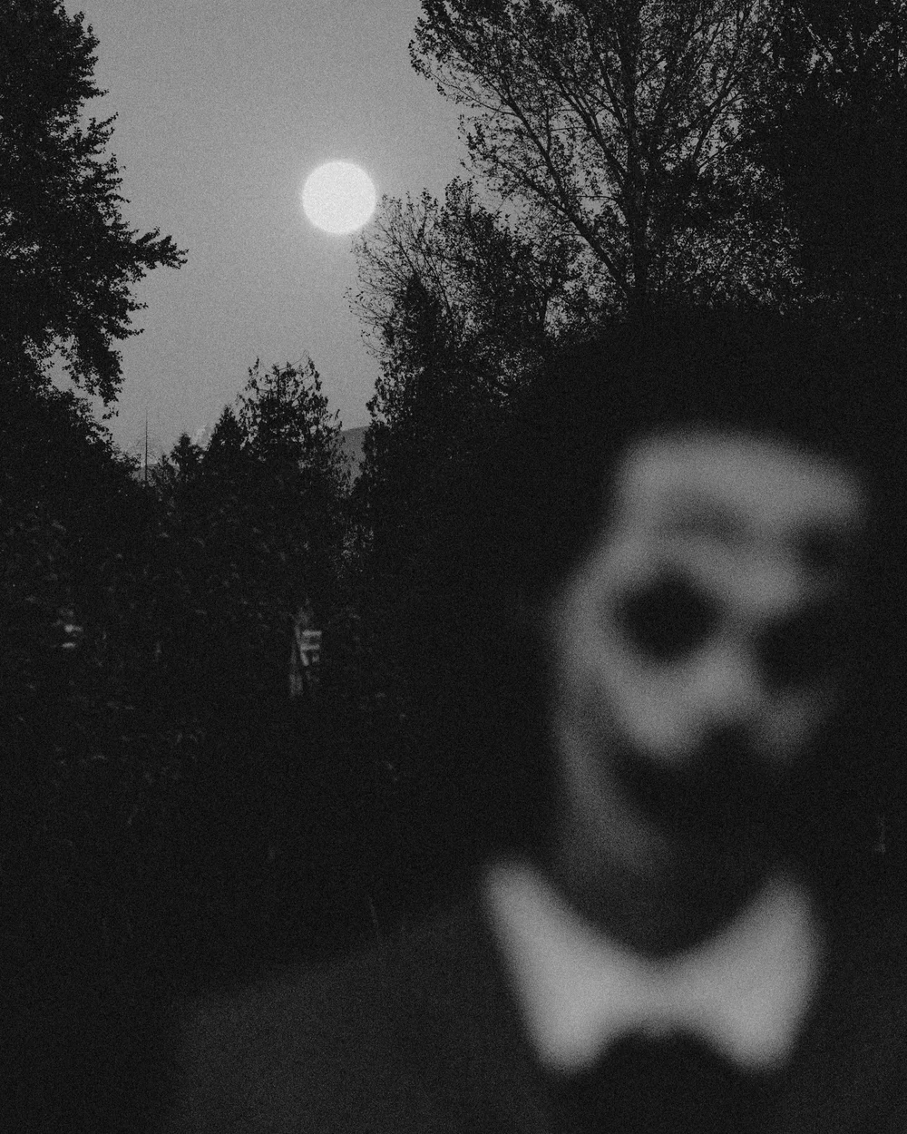 the joker and the corn lady — Moments of Wild