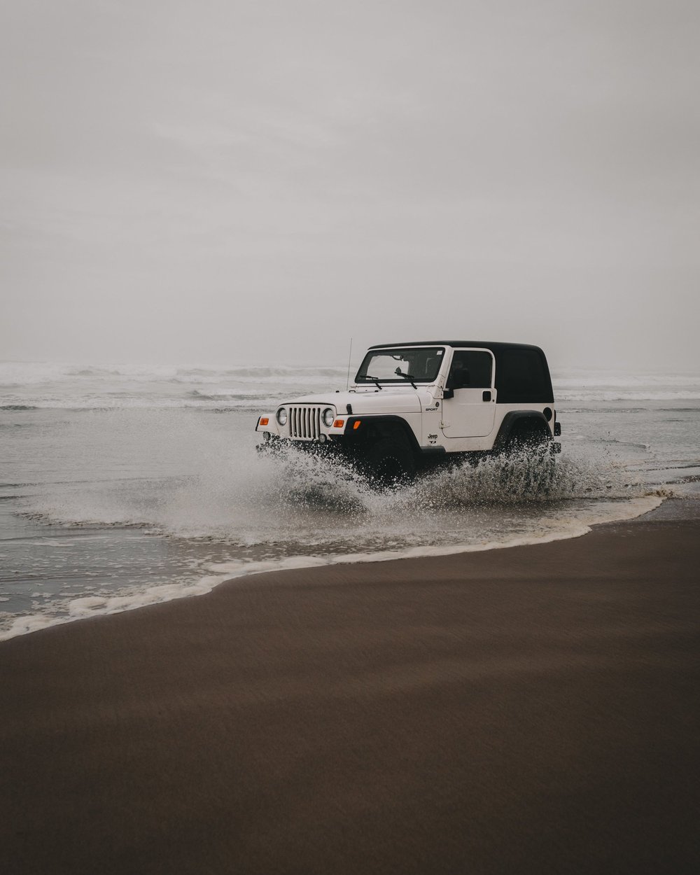 jeeps at the beach — Moments of Wild