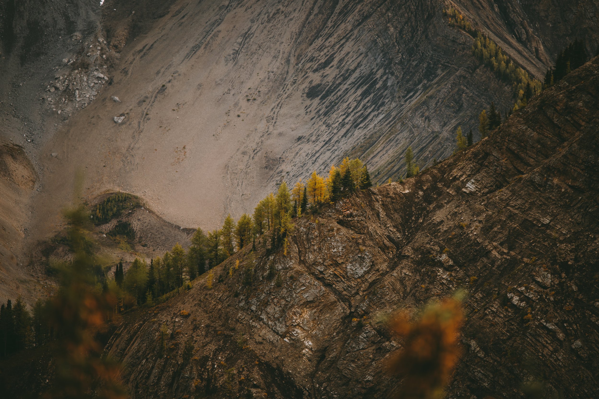 canmore pt. 2 tent ridge — Moments of Wild