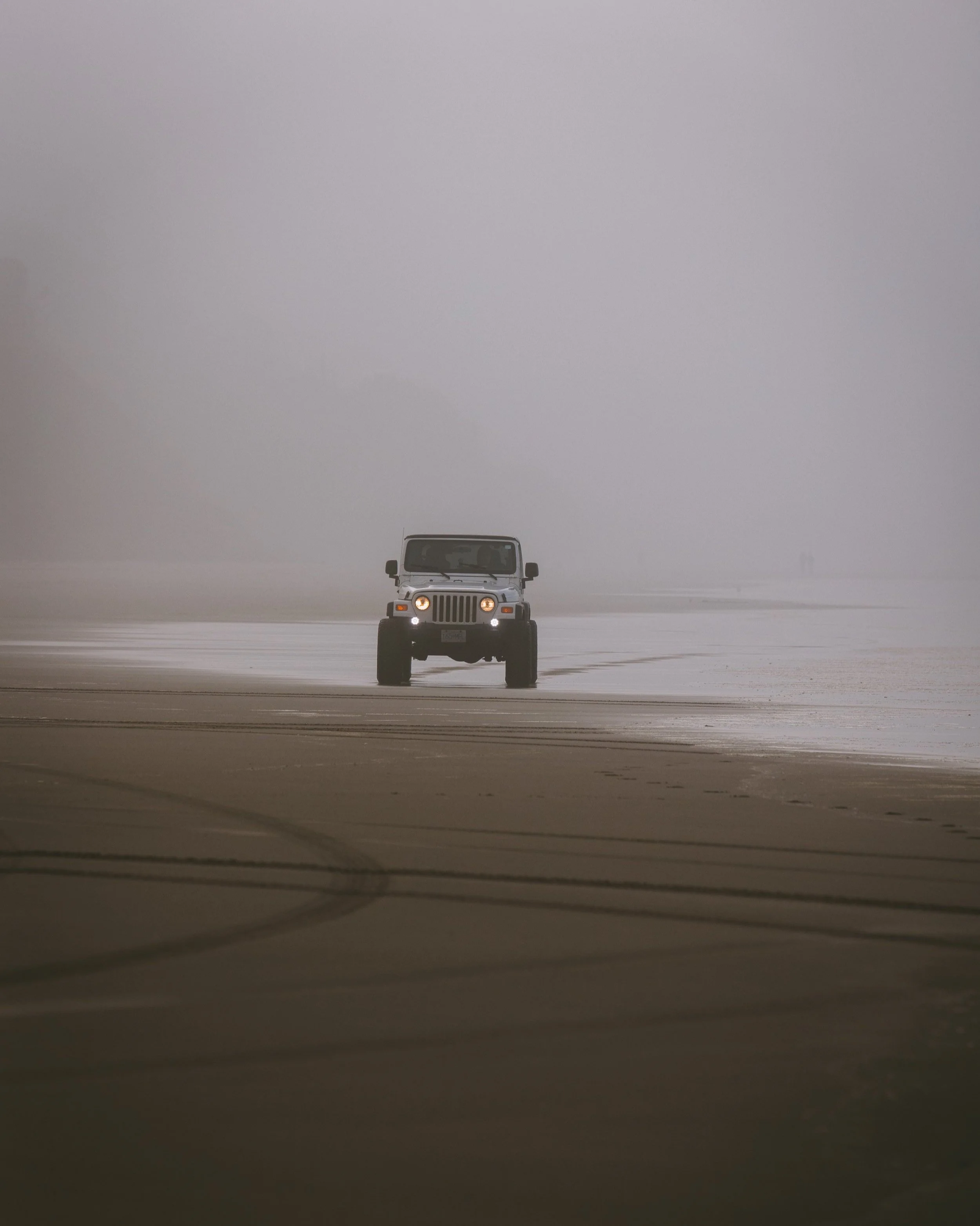 jeeps at the beach — Moments of Wild