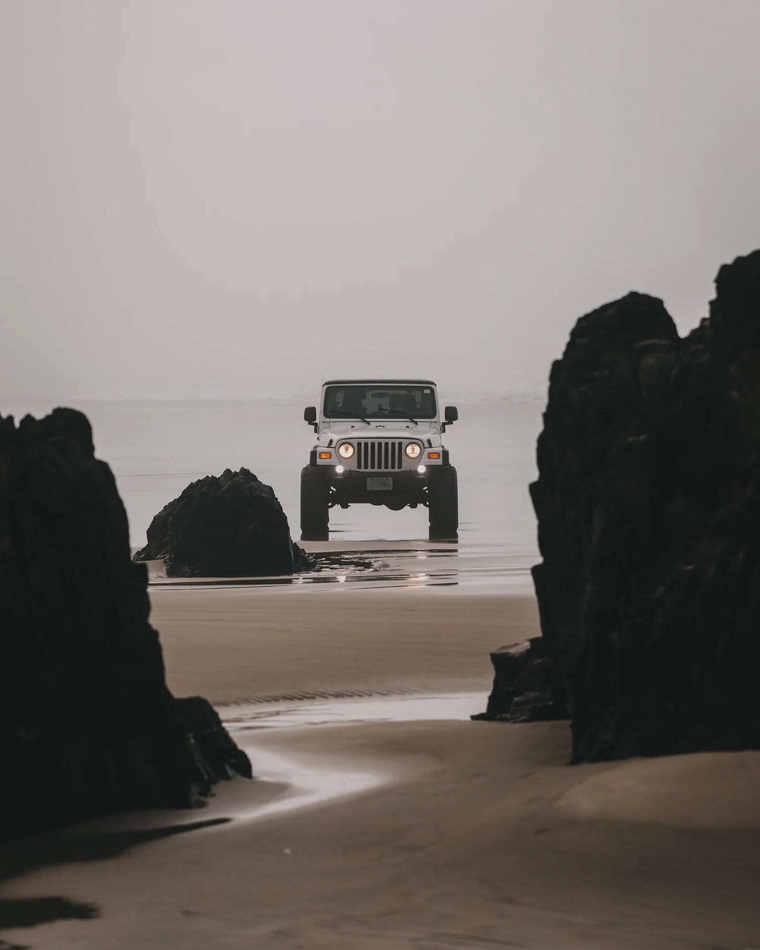 jeeps at the beach — Moments of Wild