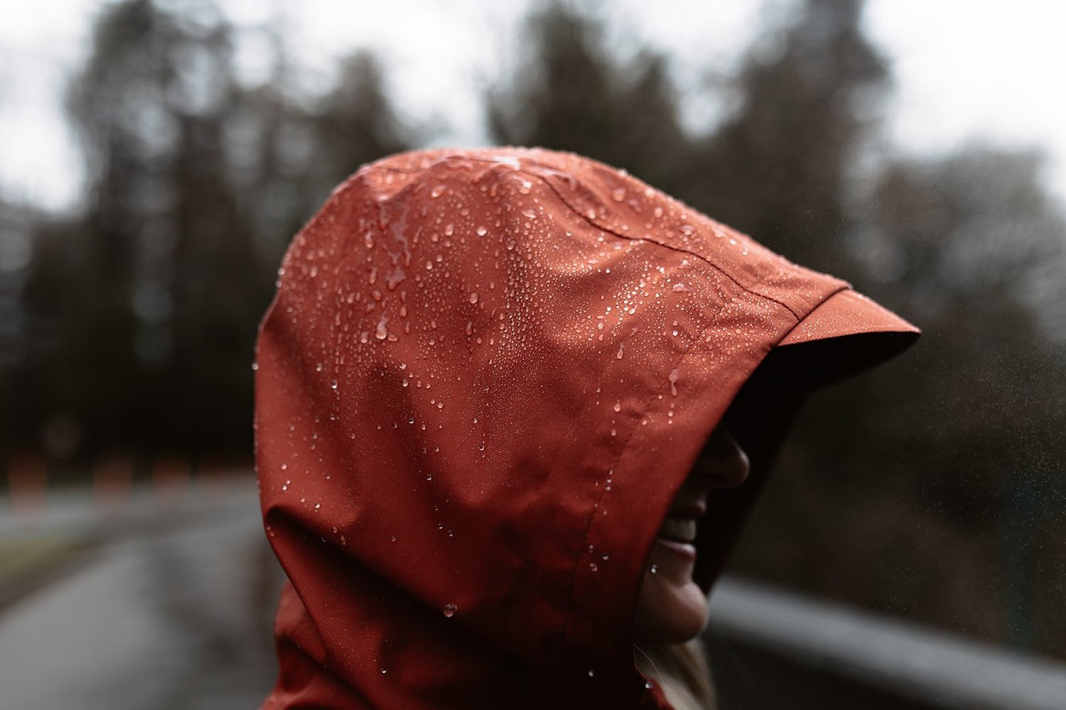 A Rainy Vancity day — Moments of Wild