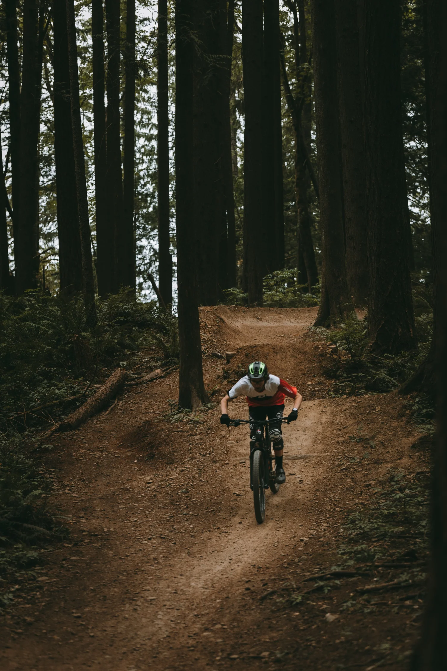 A MOUNTAIN BIKE DAY — Moments of Wild