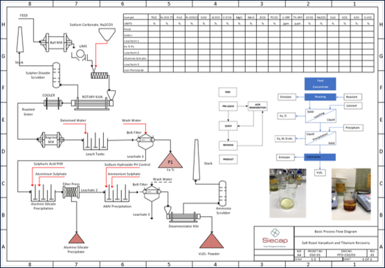 Siecap NZ — Vanadium Extraction Case Study