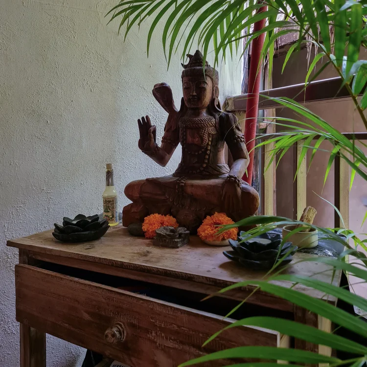 Shala Rental — Radiantly Alive