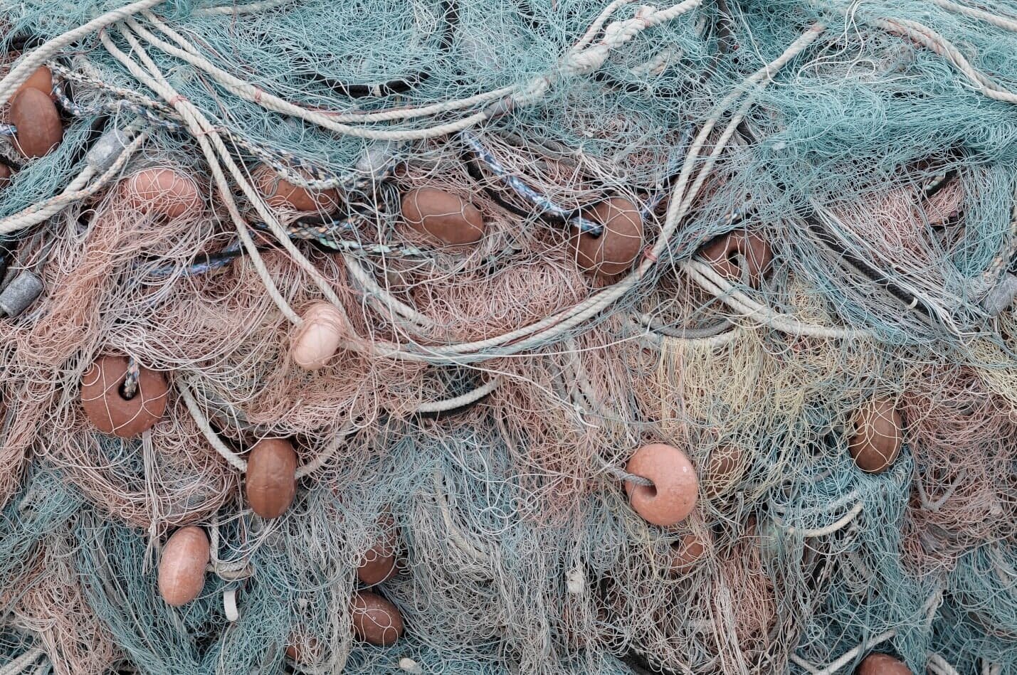 10,000+ Organic & Recycled Fabrics — LABTEX