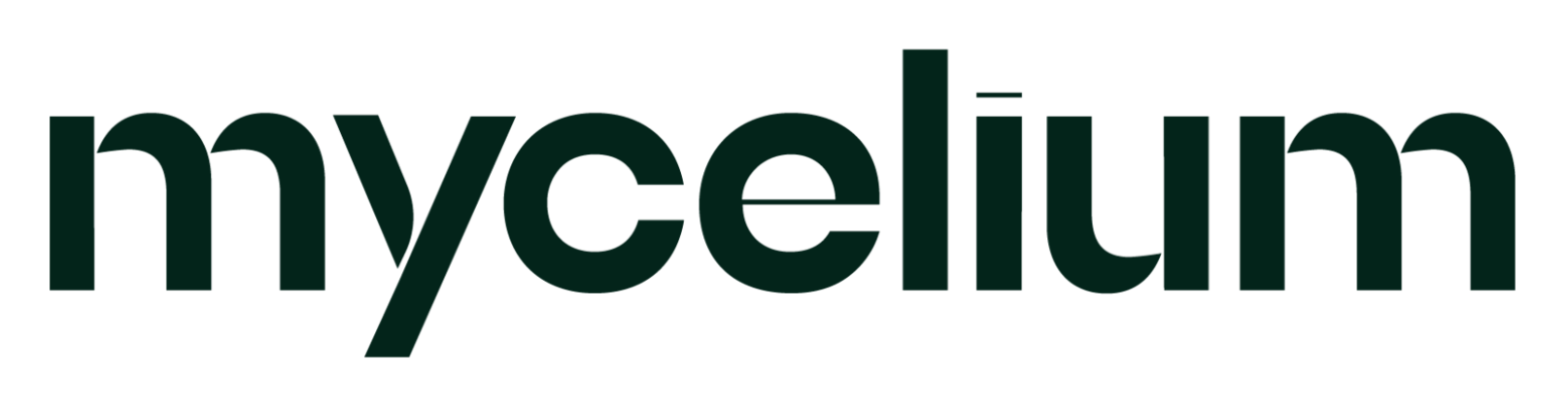 Mycelium Creative — Mycelium Studios