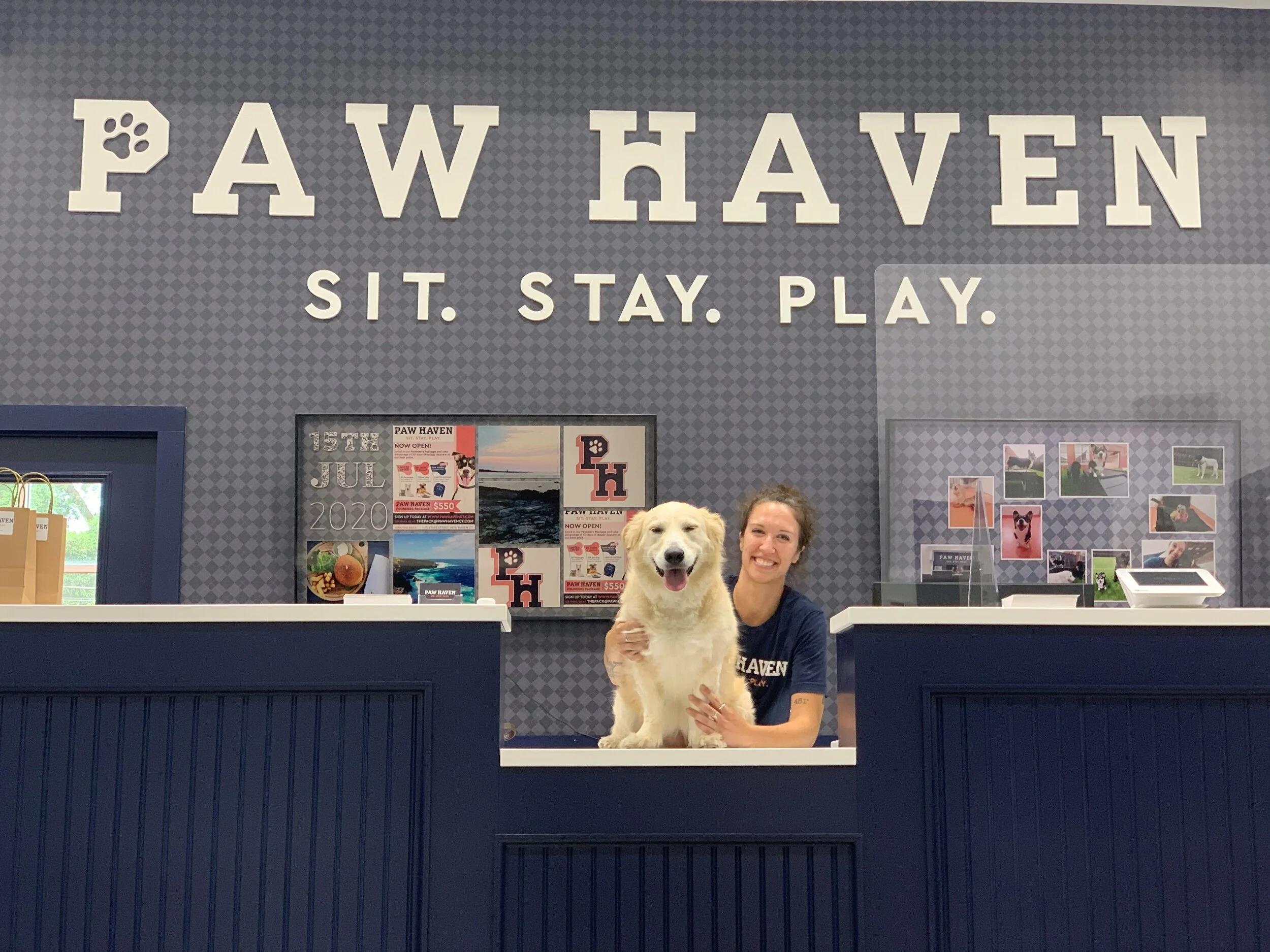 Paw Haven, New Haven, Ct: Pet photo gallery
