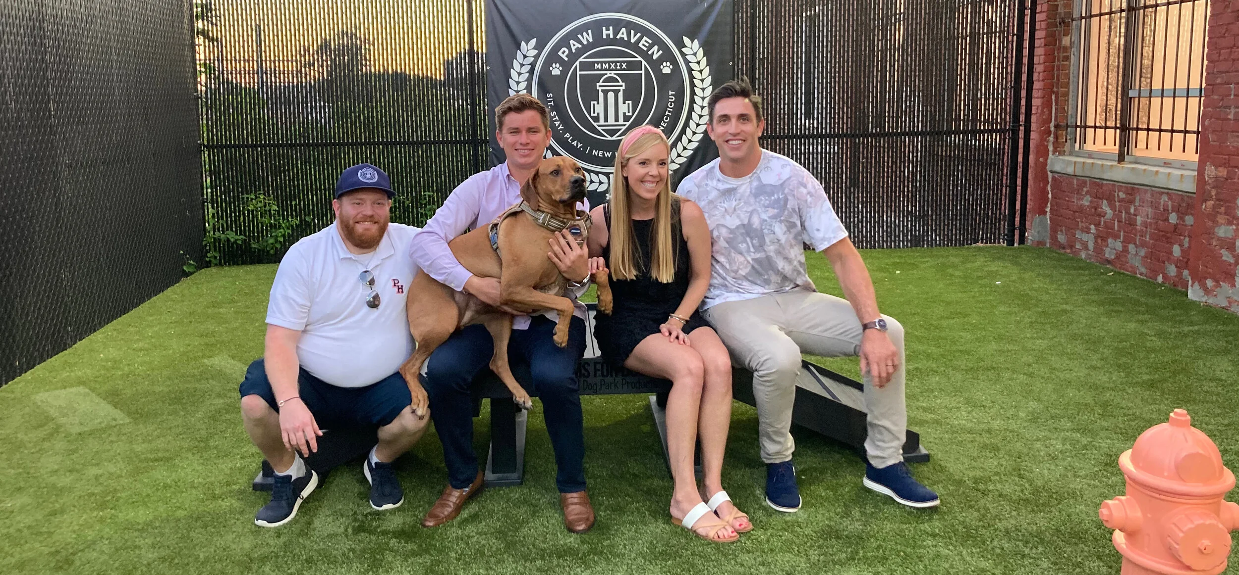 Paw Haven, New Haven, Ct | About us - Learn about our pet services