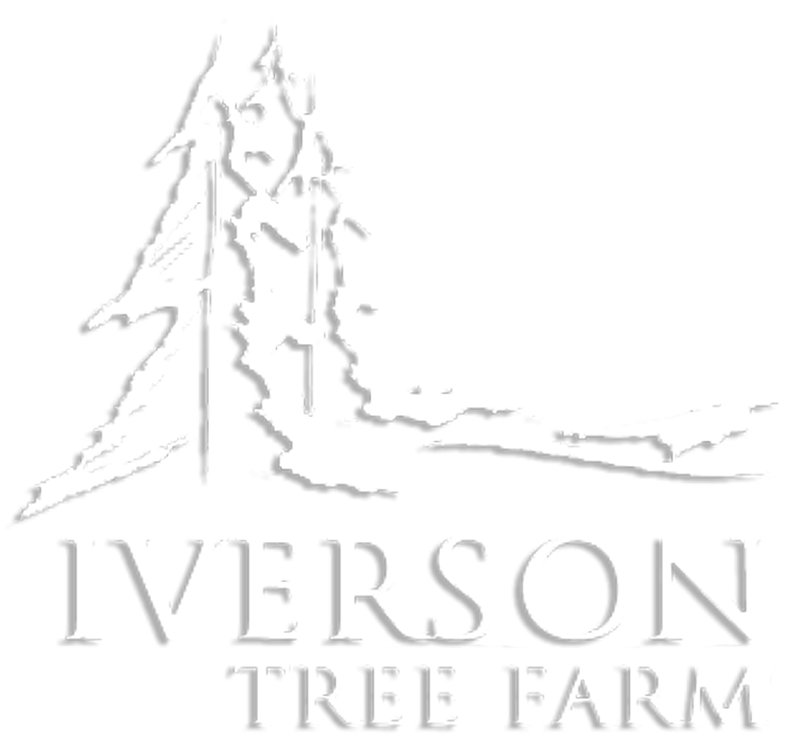 Iverson Tree Farm