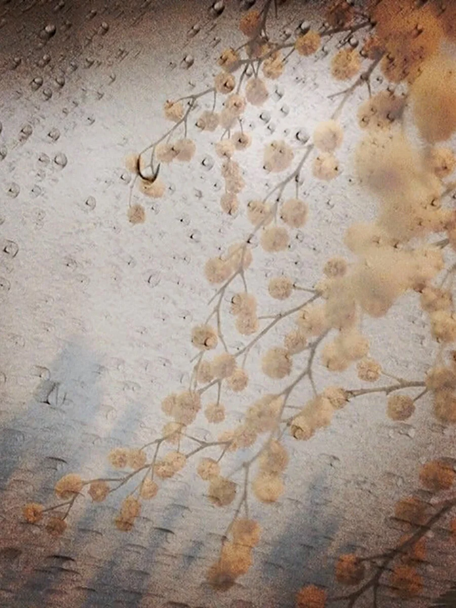 Beyond Here Is Nothing — LAURA EL-TANTAWY