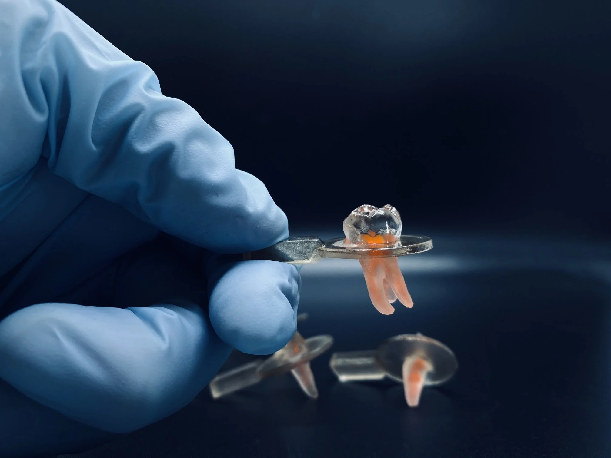 EndoHOLD Root Canal Treatment — BIOMED3D