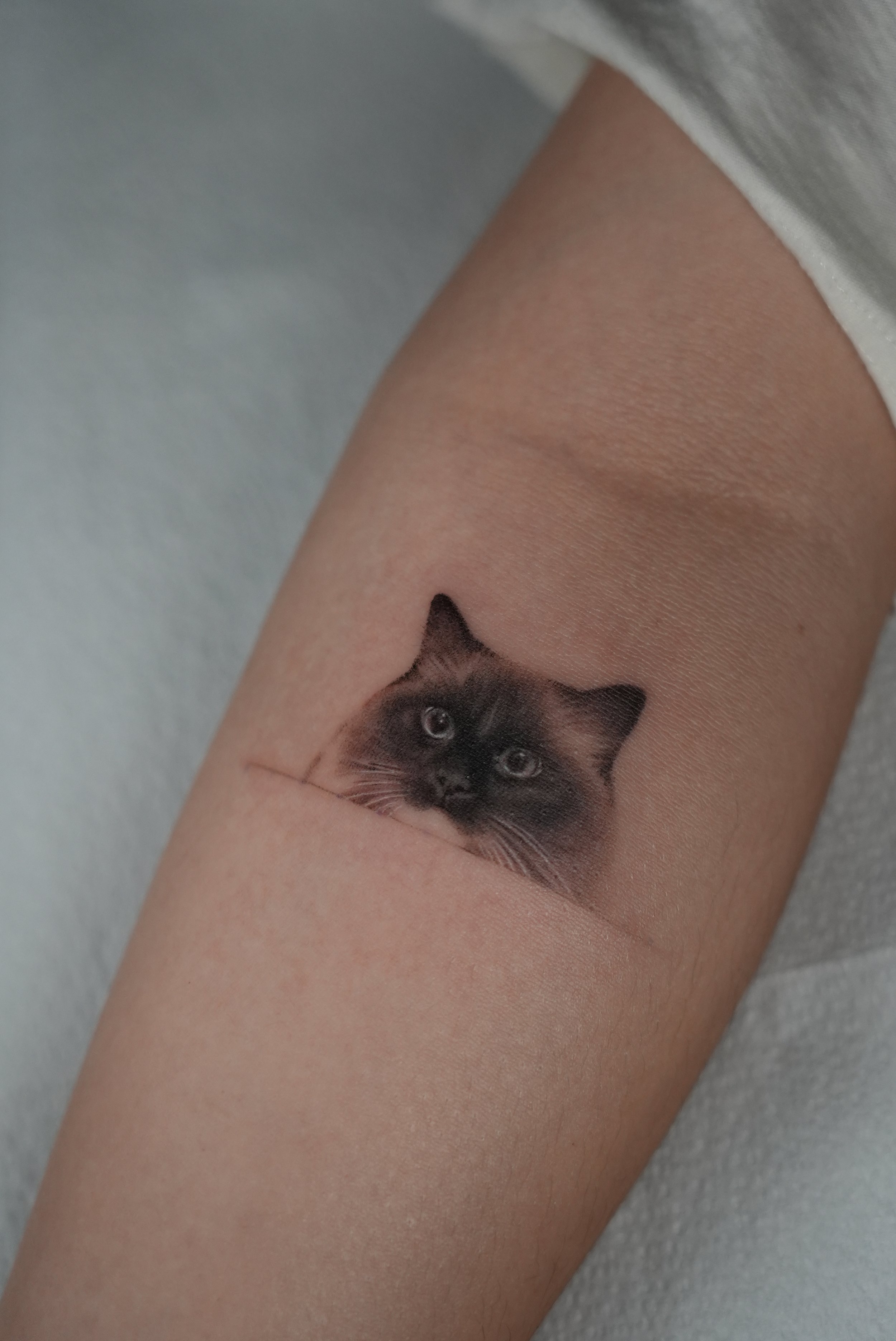 Eva Karabudak | Founder of Atelier Eva & Tattoo Fine Artist