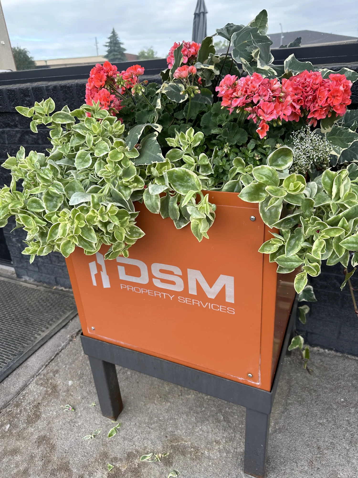 Contact — DSM Property Services